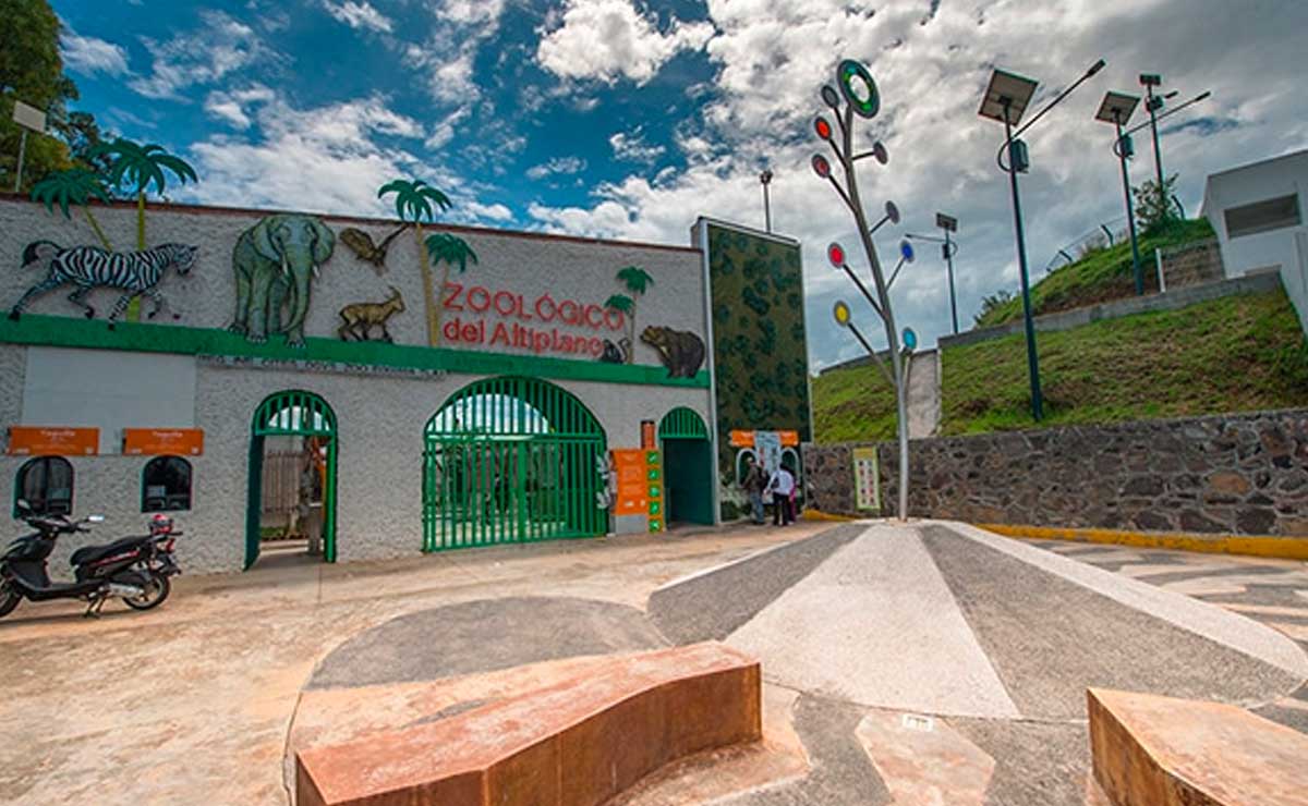 Visita el zoológico más barato de México a solo una hora de Puebla | El ...
