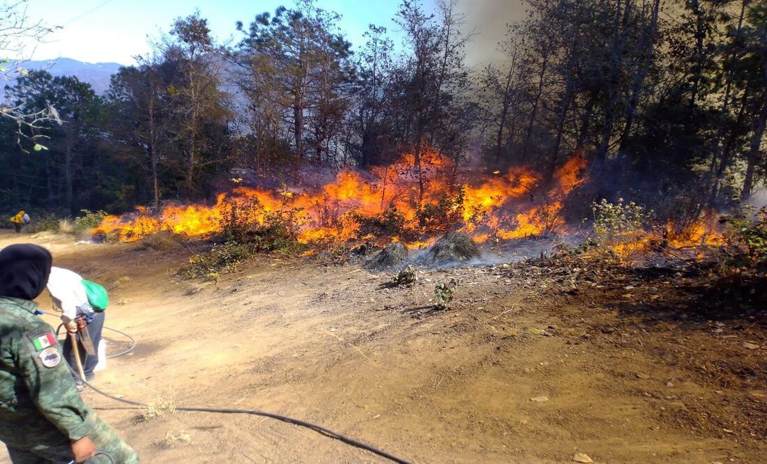 Alumnos de Cuautempan toman clases a distancia por incendio forestal ...