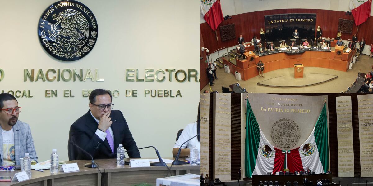 ¿Cómo se elige a los diputados y senadores plurinominales? | El Universal Puebla