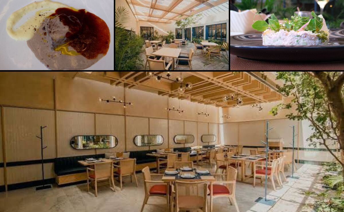 Aliere, uno de los mejores restaurantes de Puebla donde se come rico en ...