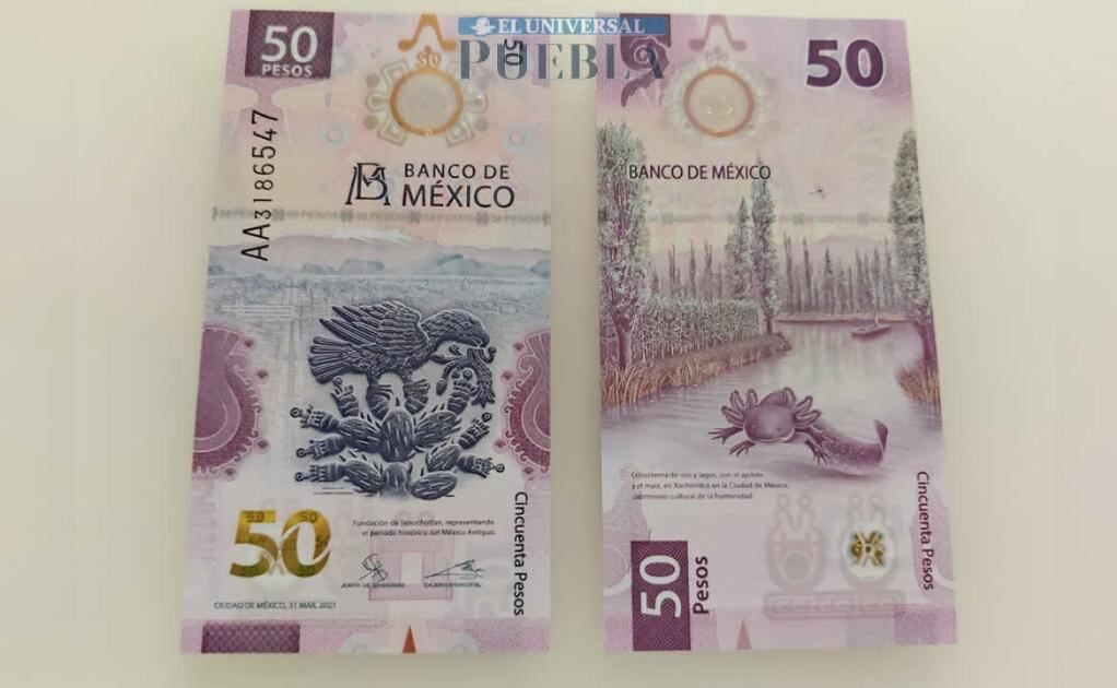 Fotogalería: Versiones del billete de 50 pesos