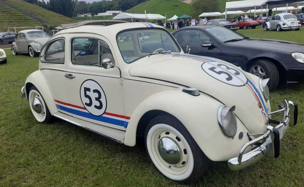 Conoce al Herbie orgullosamente poblano | El Universal Puebla