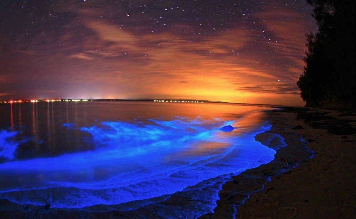 Cómo llegar a la laguna con bioluminiscencia que está cerca de Puebla ...