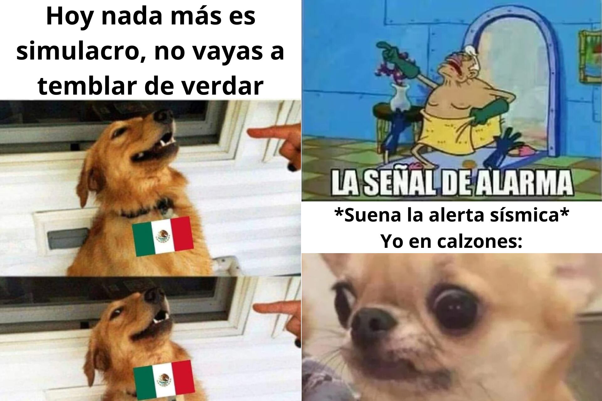 Septiemble 2025: los memes más divertidos sobre el simulacro y la ...