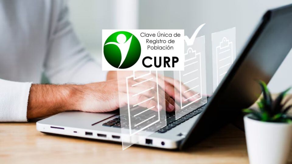 Estas son las diferencias del CURP biométrico y el CURP certificado