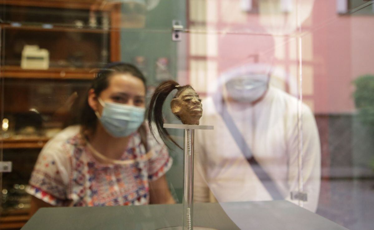 Estos museos de Puebla te van a fascinar, visítalos | El Universal Puebla